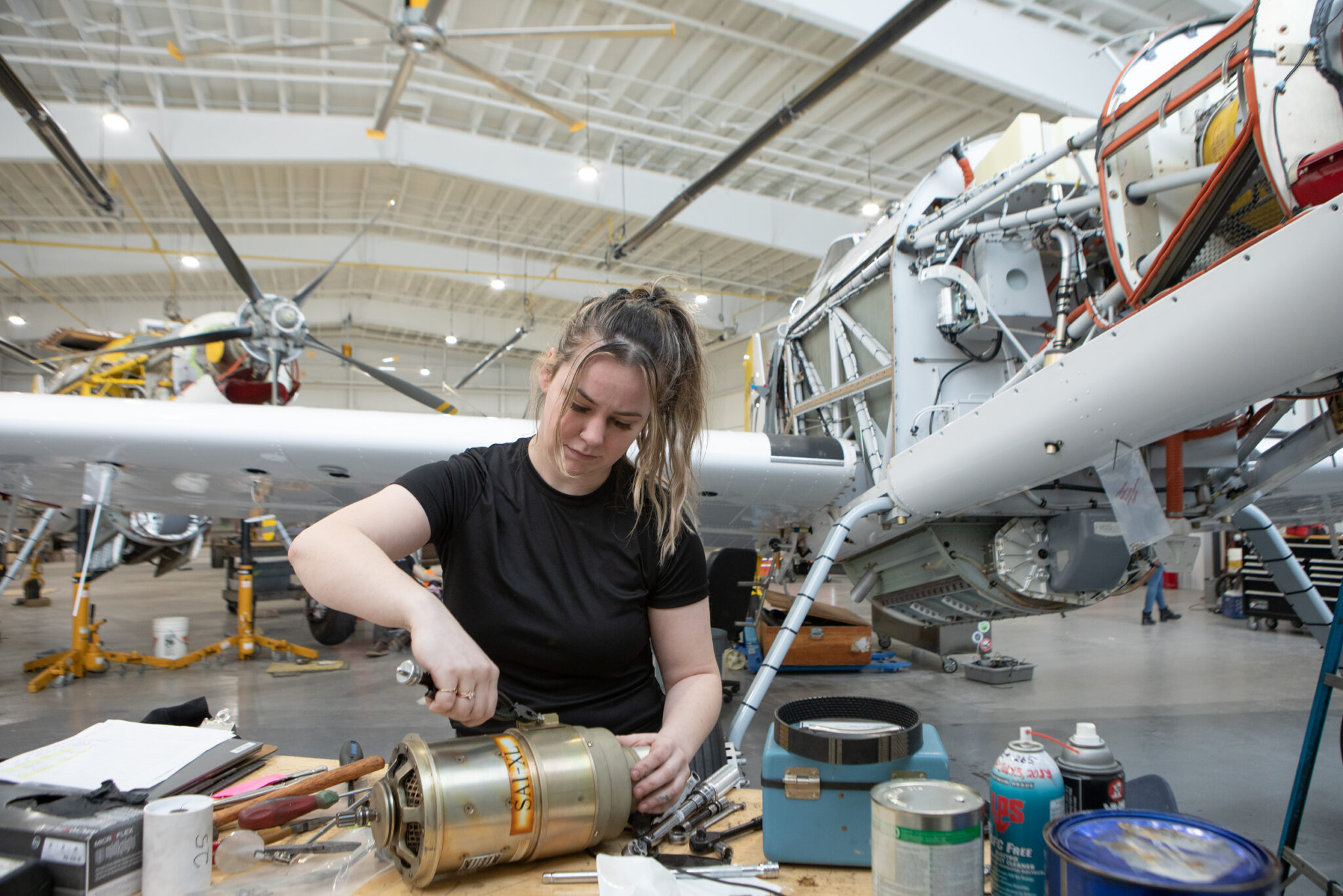 Forest Protection Ltd.’s essential, exceptional service - YFC ...