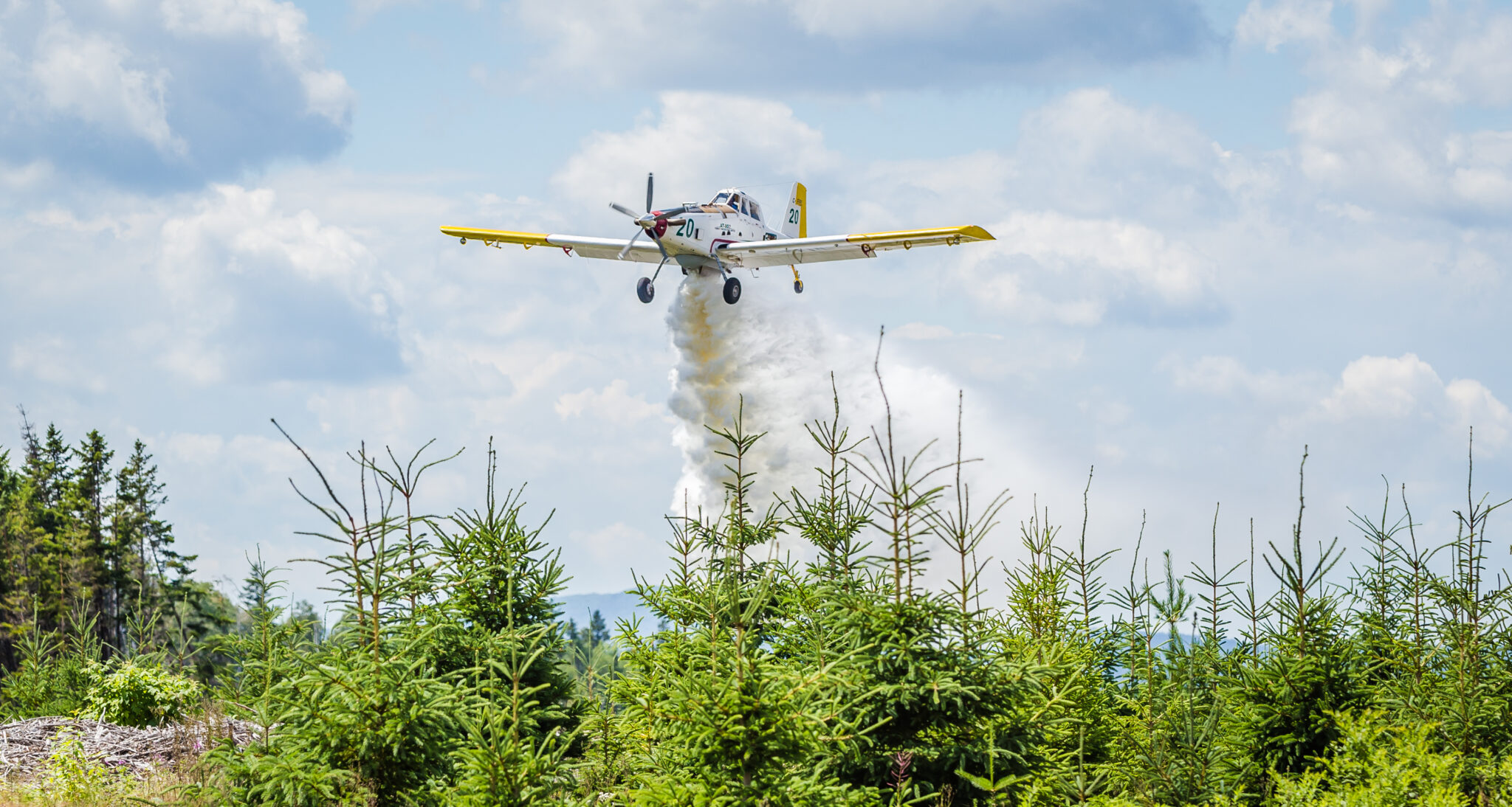 Forest Protection Ltd.’s essential, exceptional service - YFC ...